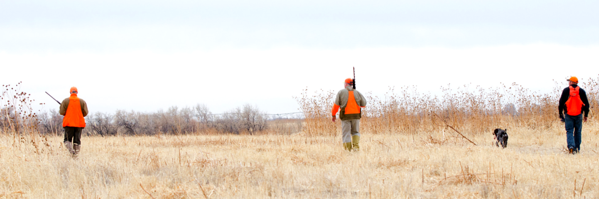 Pheasant Hunting in Utah - Pleasant Valley Hunting Preserve