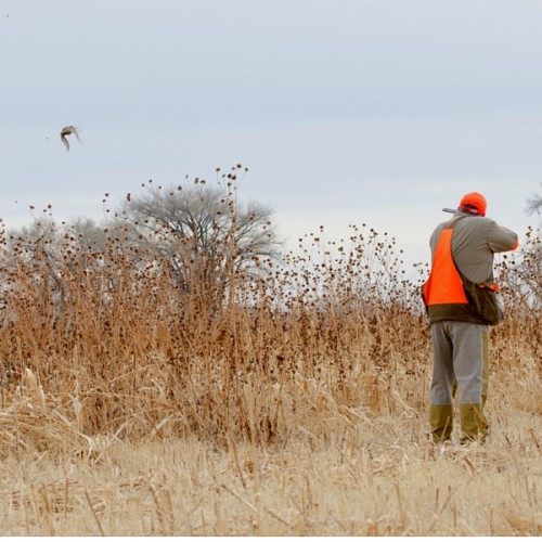 Hunting Blog - Pleasant Valley Hunting Preserve