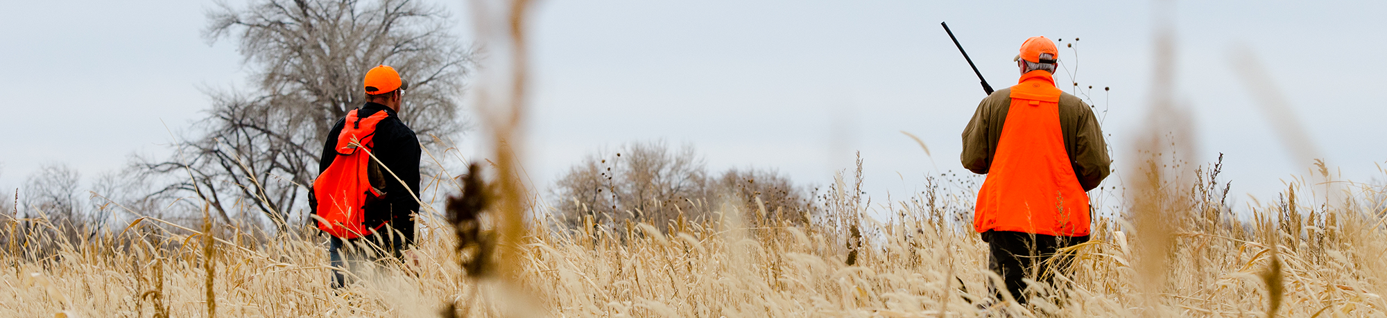Utah Pheasant Hunting | Pleasant Valley Hunting Preserve